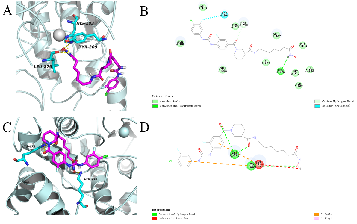 我校在sEH抑制剂研究领域取得新进展-沈阳药科大学科研处